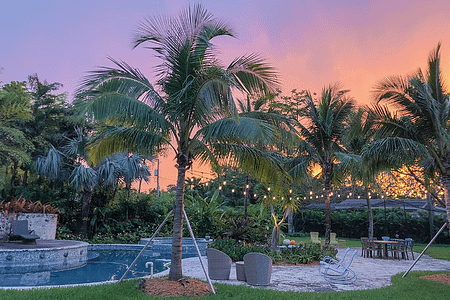 12 Best Small Shade Trees for Florida Yards | YardEvo